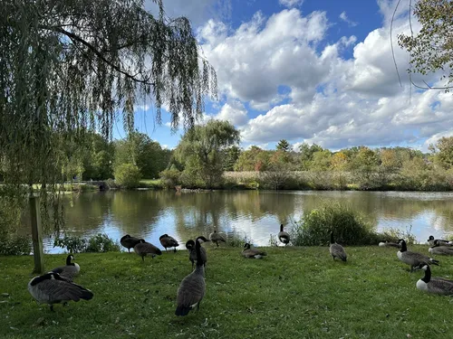 Best Hikes and Trails in Verona Park | AllTrails