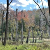 Busby Trail, Spruce Hill Lost Pond and Blackburnian Loop, Massachusetts ...