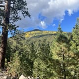 Inner Basin Trail, Arizona - 826 Reviews, Map | AllTrails