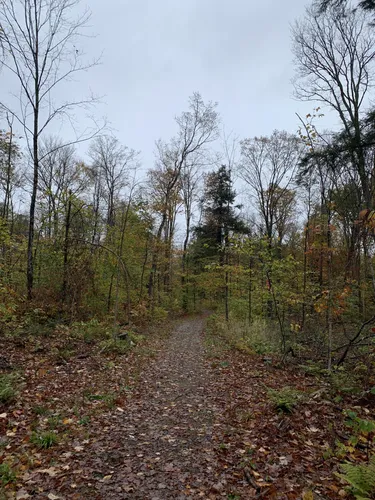 Best Hikes and Trails in Haliburton Forest and Wildlife Reserve | AllTrails