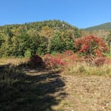 Saco River Trail, New Hampshire - 510 Reviews, Map | AllTrails
