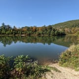 Saco River Trail, New Hampshire - 510 Reviews, Map | AllTrails