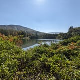 Saco River Trail, New Hampshire - 510 Reviews, Map | AllTrails