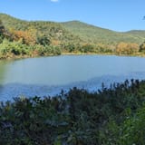 Saco River Trail, New Hampshire - 510 Reviews, Map | AllTrails