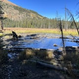 Spruce Creek Loop, Colorado - 1,579 Reviews, Map | AllTrails