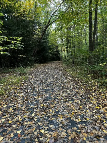 Best Hikes and Trails in Swatara State Park | AllTrails