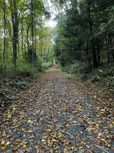 Best Hikes and Trails in Swatara State Park | AllTrails