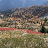 Grasshopper Pass via the PCT, Washington - 168 Reviews, Map | AllTrails