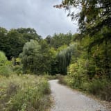 Moore Park Ravine Trail, Ontario, Canada - 1,095 Reviews, Map | AllTrails