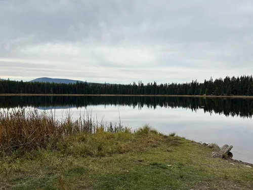 Best Hikes and Trails in McCulloch Reservoir Receaction Site | AllTrails