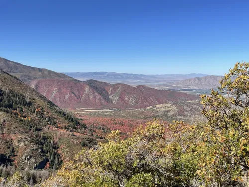 Best Forest Trails in Salem | AllTrails