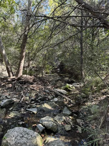 Best Hikes and Trails in Wild Basin Wilderness Park | AllTrails