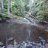 Proxy Falls Loop, Oregon - 1,146 Reviews, Map | AllTrails