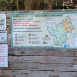 Proxy Falls Loop, Oregon - 1,146 Reviews, Map | AllTrails