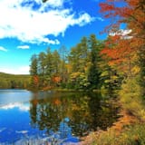 Goose Pond Loop, New Hampshire - 694 Reviews, Map | AllTrails