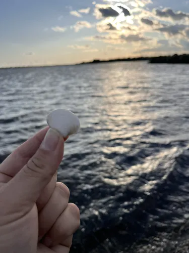 Best Hikes and Trails in Ninigret National Wildlife Refuge | AllTrails