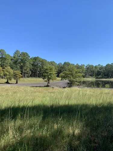 Best Hikes and Trails in Conecuh National Forest | AllTrails