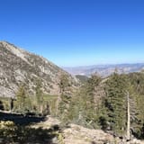 Tamarack Peak Loop, Nevada - 943 Reviews, Map | AllTrails