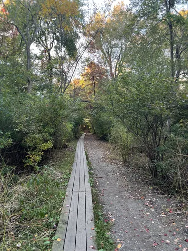 Best Hikes and Trails in Cold Spring Park | AllTrails