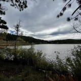 Tahoe Rim Trail (TRT): Spooner Summit to Snow Valley Peak, Nevada - 814 ...