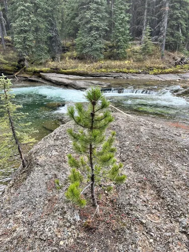 Best Hikes and Trails in Kakwa Provincial Park | AllTrails