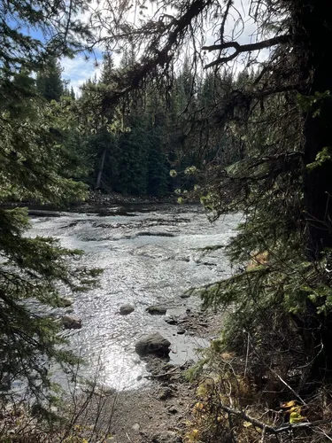 Best Hikes and Trails in Kakwa Provincial Park | AllTrails