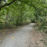 BPA Trail, Washington - 449 Reviews, Map | AllTrails