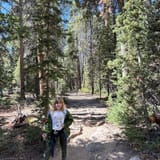 Spruce Creek Loop, Colorado - 1,579 Reviews, Map | AllTrails