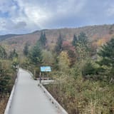 Barnes Camp Loop, Vermont - 456 Reviews, Map | AllTrails