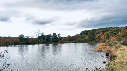 Best Hikes and Trails in Finzel Swamp Preserve | AllTrails