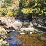 Auger Falls Loop, New York - 695 Reviews, Map | AllTrails