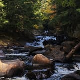 Auger Falls Loop, New York - 695 Reviews, Map | AllTrails
