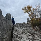 Seneca Rocks Trail, West Virginia - 2,615 Reviews, Map | AllTrails
