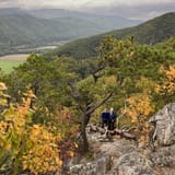 Seneca Rocks Trail, West Virginia - 2,615 Reviews, Map | AllTrails