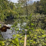 Alberton Road Trail, Maryland - 1,311 Reviews, Map | AllTrails