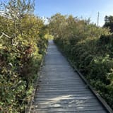 Devils Lake Boardwalk Trail, Oregon - 45 Reviews, Map | AllTrails