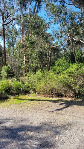 Best Hikes and Trails in Koolunga Native Reserve | AllTrails