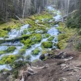 Karst Spring Trail, Alberta, Canada - 856 Reviews, Map | AllTrails