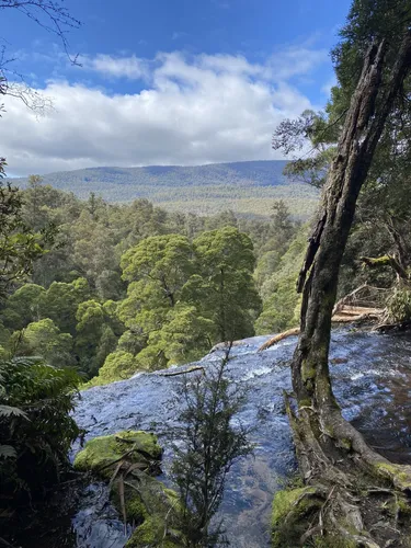 10 Best Hikes and Trails in Mount Field National Park | AllTrails