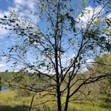 Two Lakes Loop Trail, Indiana - 554 Reviews, Map | AllTrails