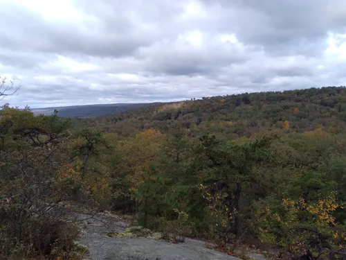 Best Hikes and Trails in Huckleberry Ridge State Forest | AllTrails
