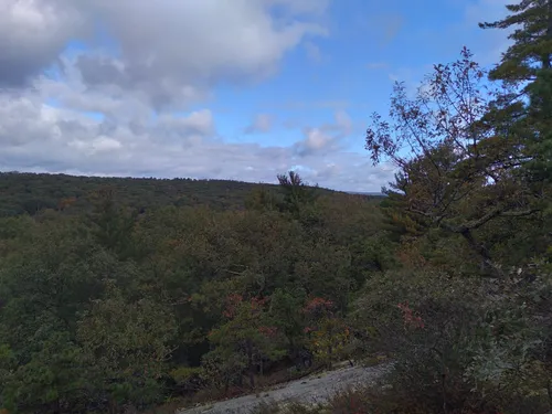 Best Hikes and Trails in Huckleberry Ridge State Forest | AllTrails