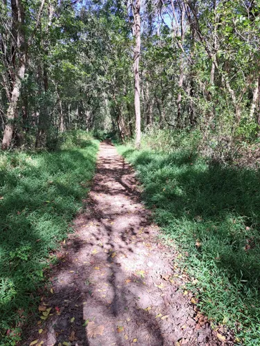 Best Hikes and Trails in Tanglewood Park | AllTrails