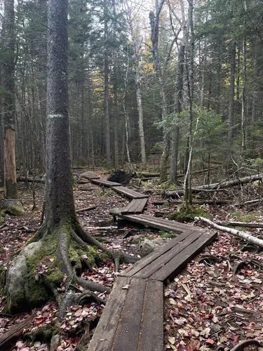 2023 Best Child Friendly Trails in Parc de la forêt ancienne du Mont ...