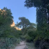 Plateau Point Trail via Bright Angel Trail, Arizona - 2,052 Reviews ...