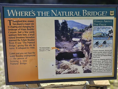 Best Hikes and Trails in Natural Bridge State Park | AllTrails