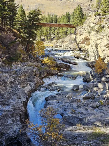 Best Hikes and Trails in Natural Bridge State Park | AllTrails