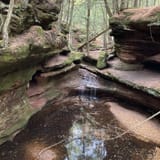 Houghton Falls Trail, Wisconsin - 498 Reviews, Map | AllTrails
