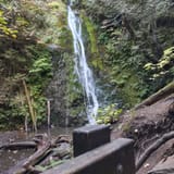 Madison Falls Trail, Washington - 1,589 Reviews, Map | AllTrails