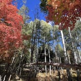 Mogollon Rim Road Scenic Drive, Arizona - 229 Reviews, Map | AllTrails